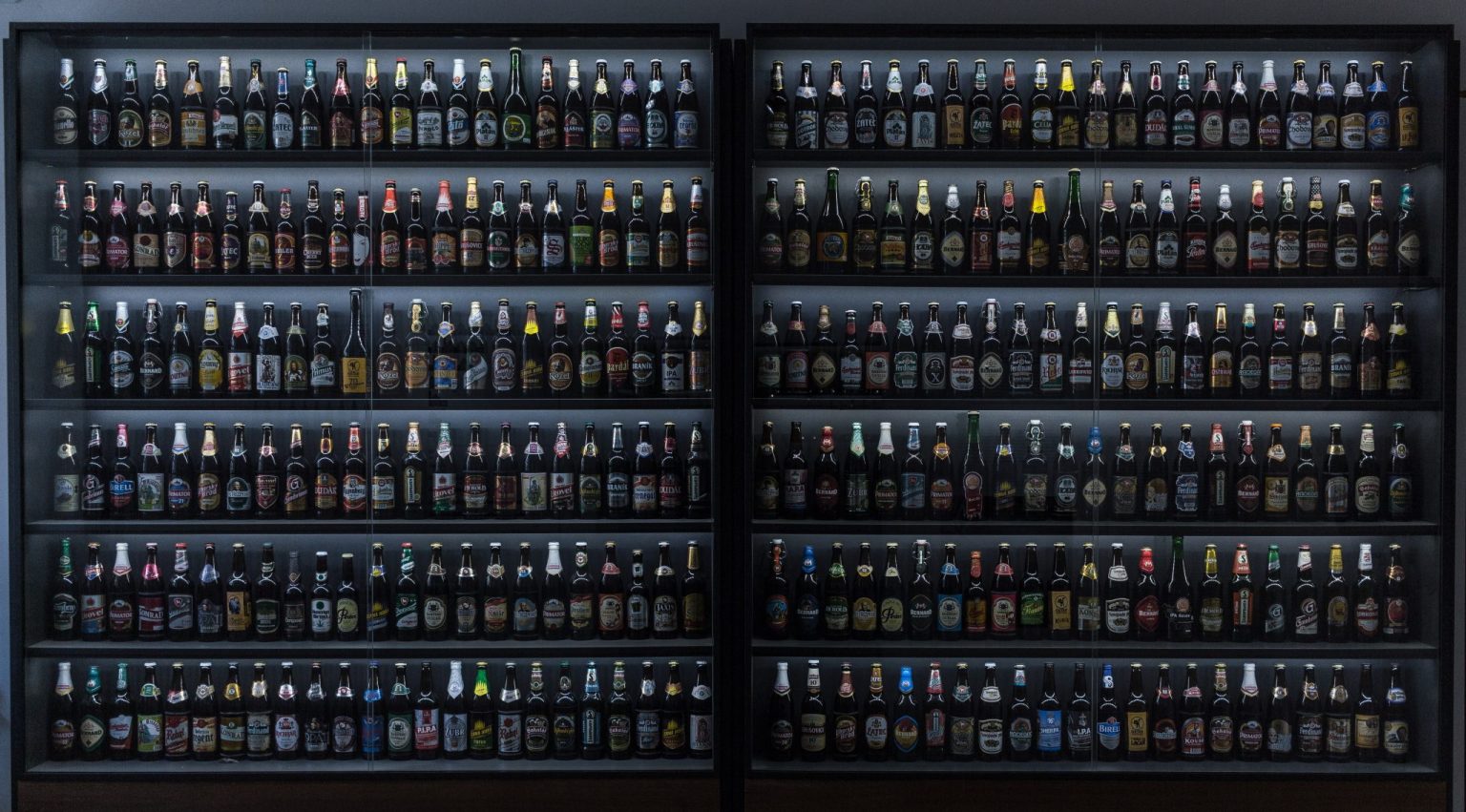 Are You Drinking 8-12 Beers a Day? How it Impacts Your Health