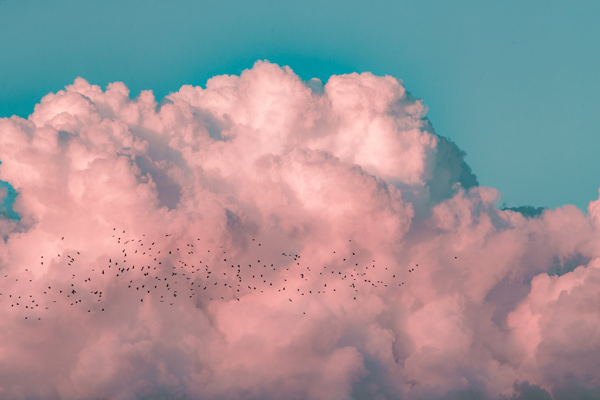 Is “Pink Cloud Syndrome” a Real Thing? Euphoria in Early Recovery